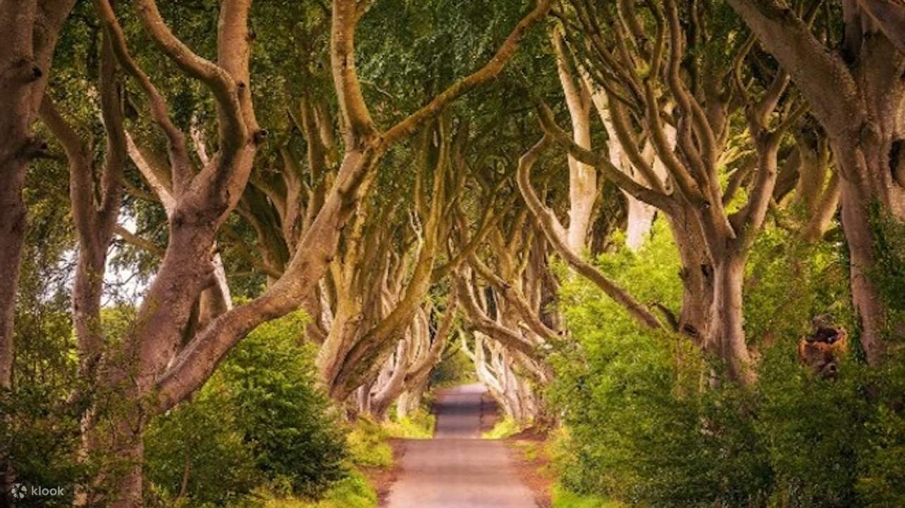 Giant Causeway, Dark Hedges & Titanic Belfast from Dublin - Klook, Vereinigte Staaten