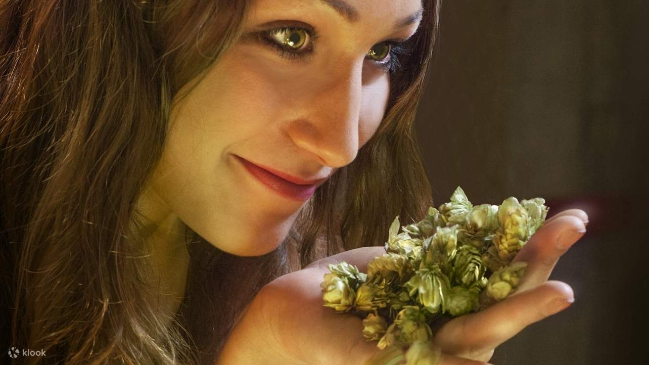 Beer museum ticket in Bruges - Klook United Kingdom