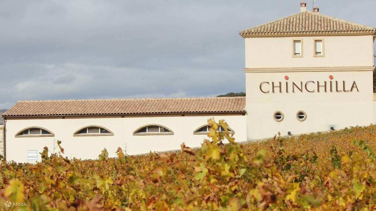 Vineyard tour with wine tasting or lunch in Ronda - Klook Hong Kong