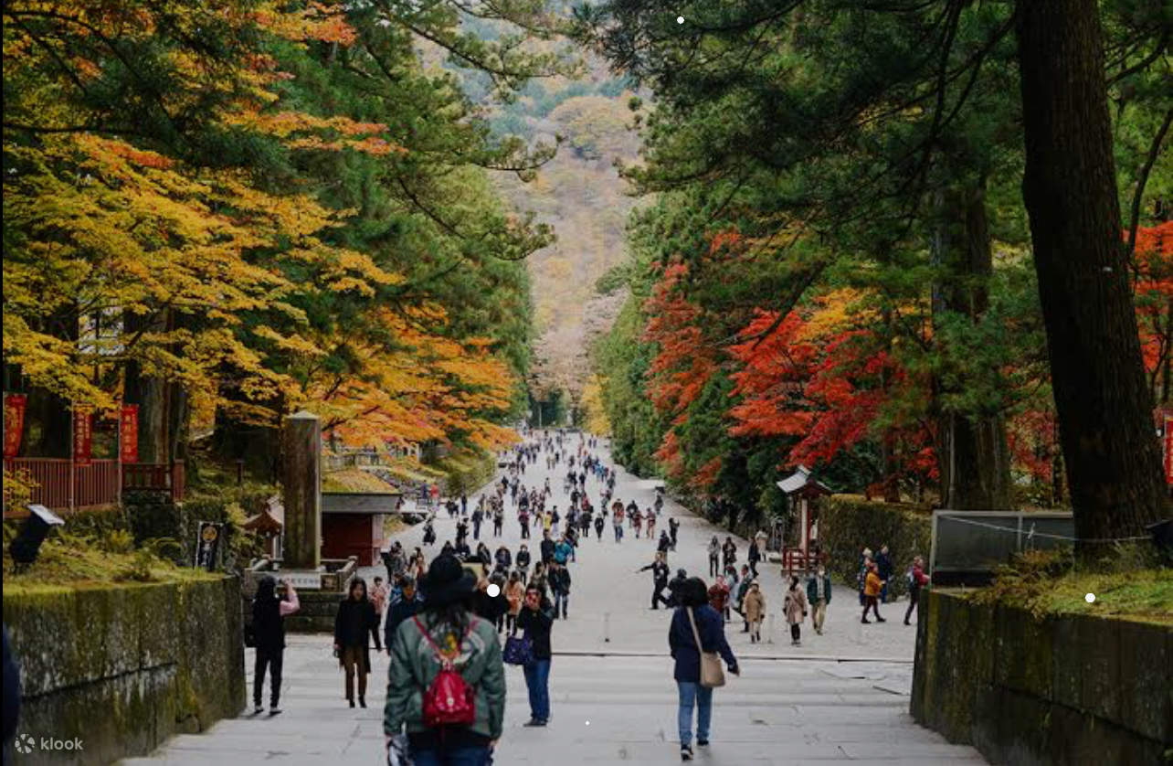 Nikko Sightseeing 10 Hours Private Chartered Car Tour from Tokyo ...