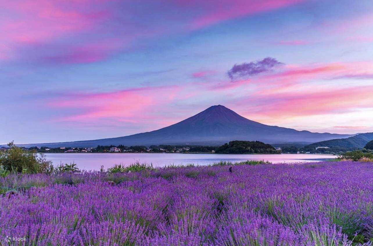 Mt. Fuji, Lake Kawaguchi, Arakurayama Sengen Park, Hikawa Watch Shop ...