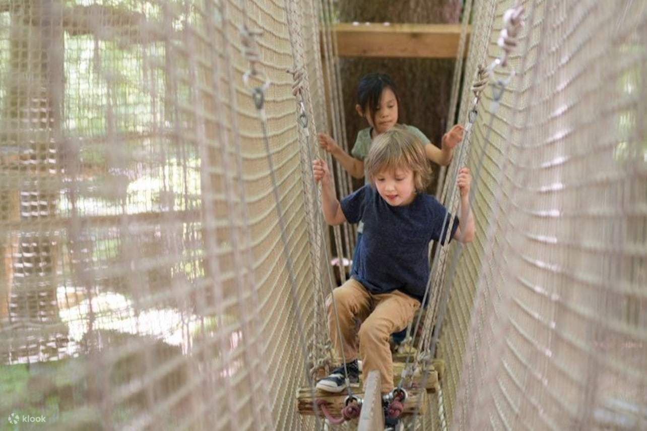 Outdoor Ropes Park Experience in in Interlaken - Klook