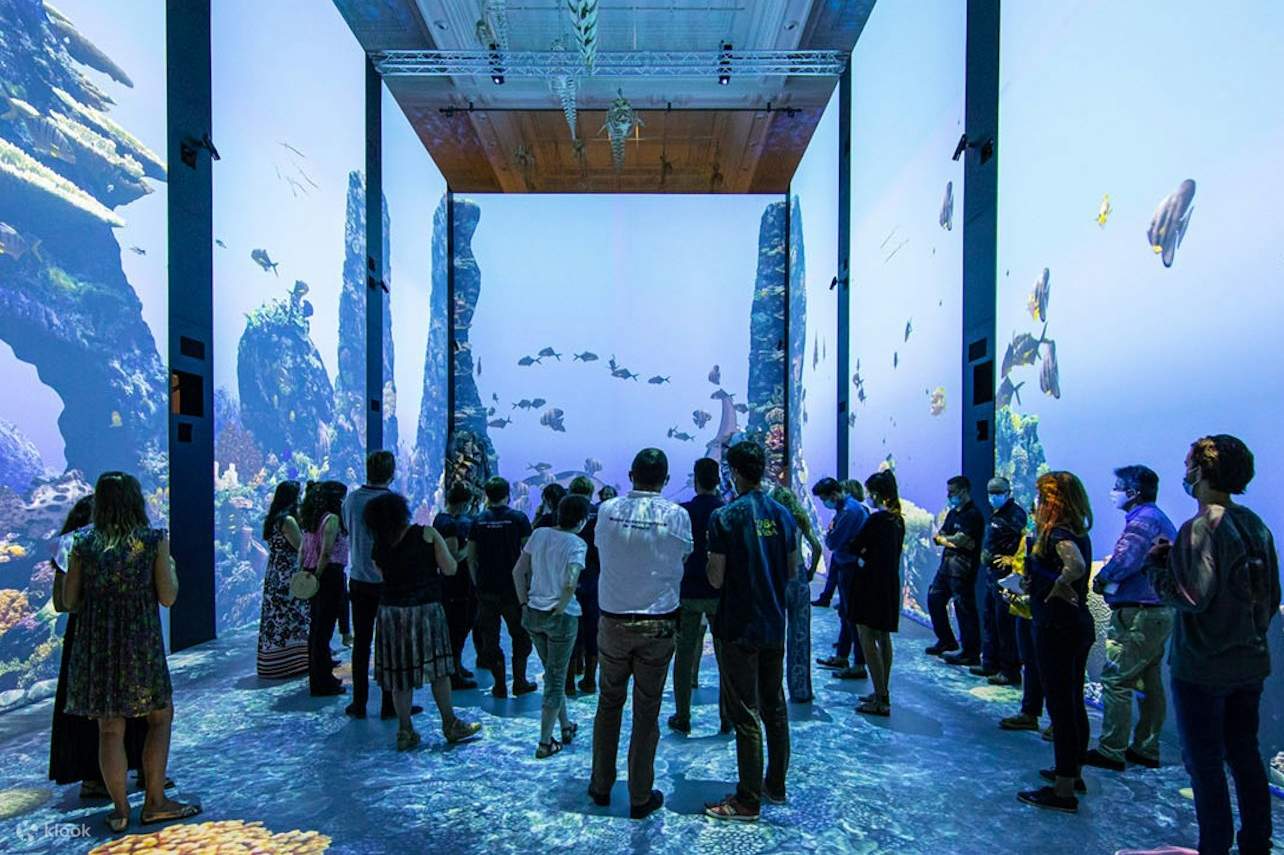 Oceanographic Museum Ticket - Klook