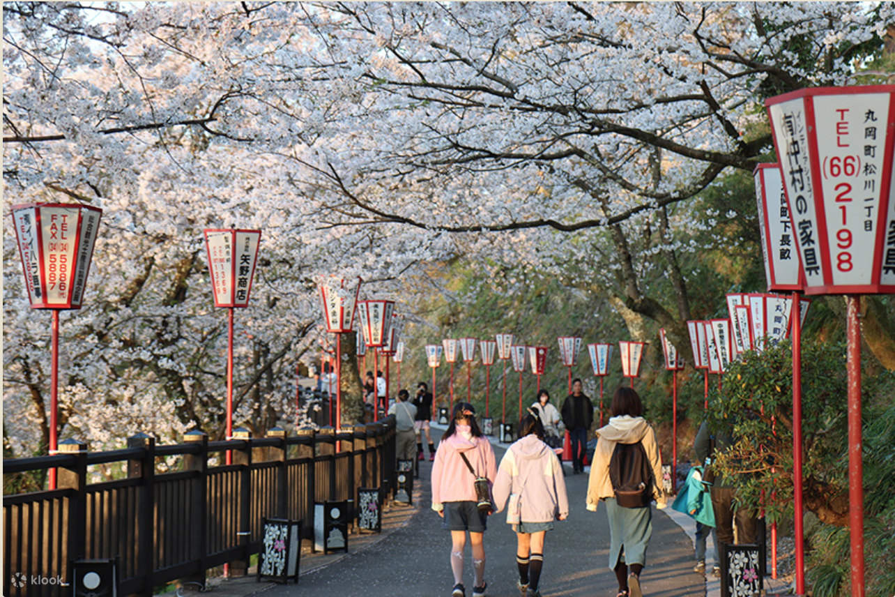 Kanazawa Fukui Cherry Blossom Viewing Tour (2 Days, 1 Night ...