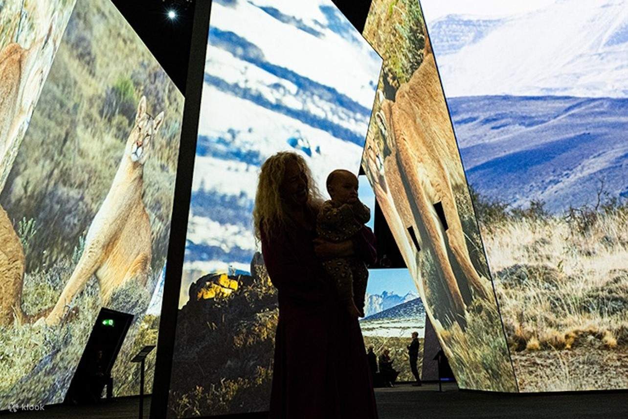 Tiket BBC Earth Experience di London - Klook Amerika Syarikat