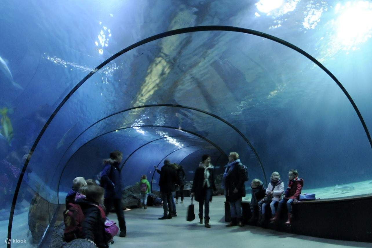 Entrada al zoológico de Róterdam - Klook Estados Unidos