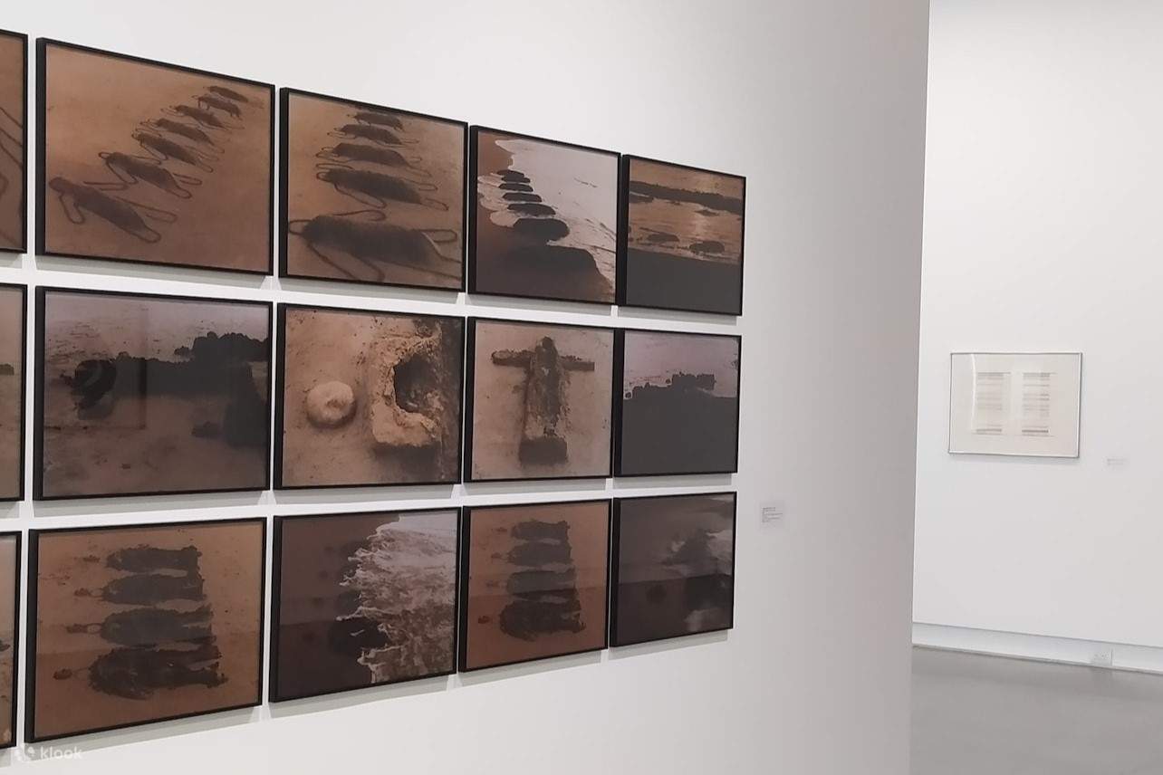 Museum of Modern Art Admission Admission in Medellin (Direct Entry ...