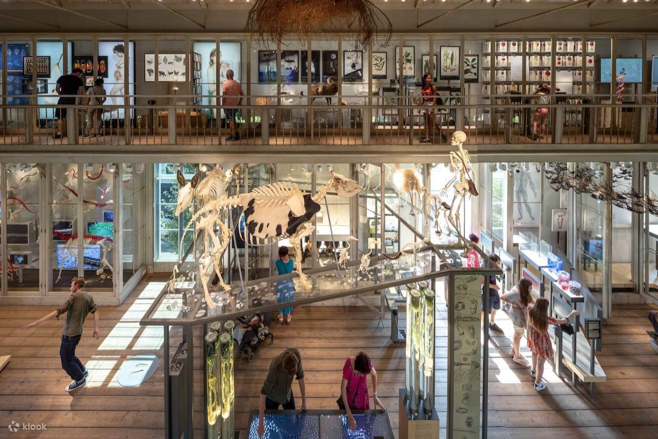 ARTIS Groote Museum Admission in Amsterdam - Klook Canada