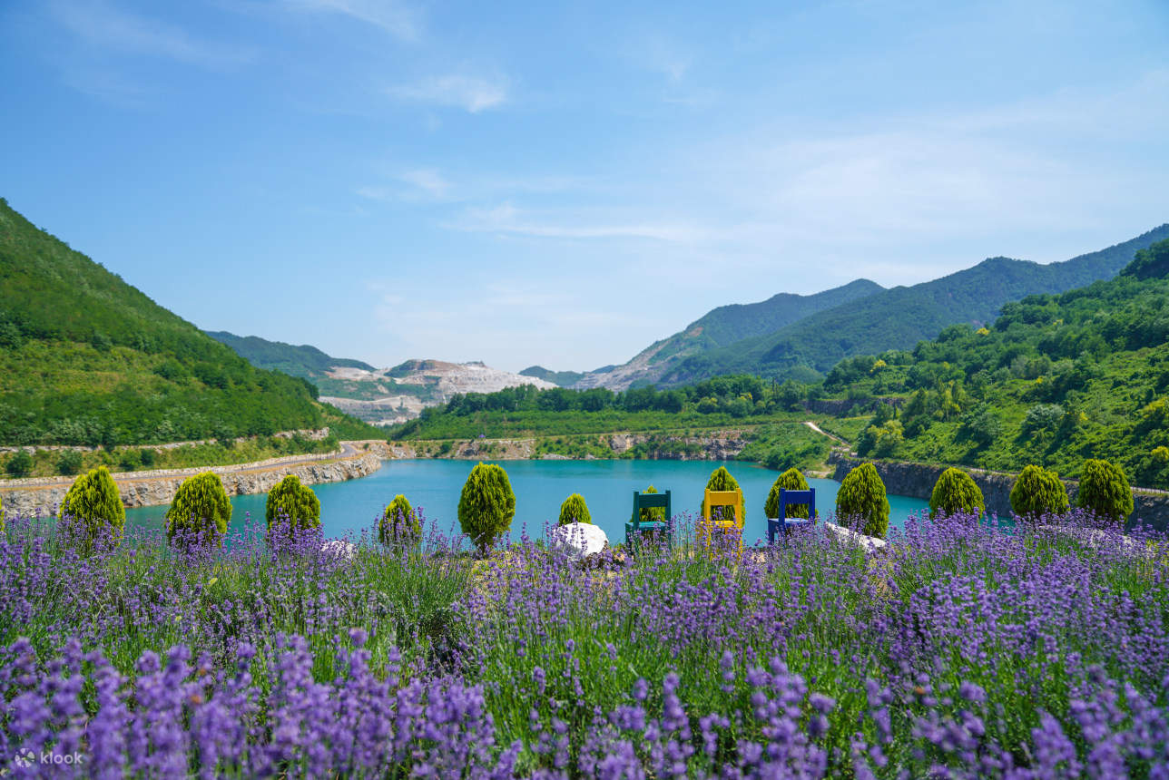 Samcheok Maengbang Canola Flower&Ocean rail bike+Donghae Day Tour ...