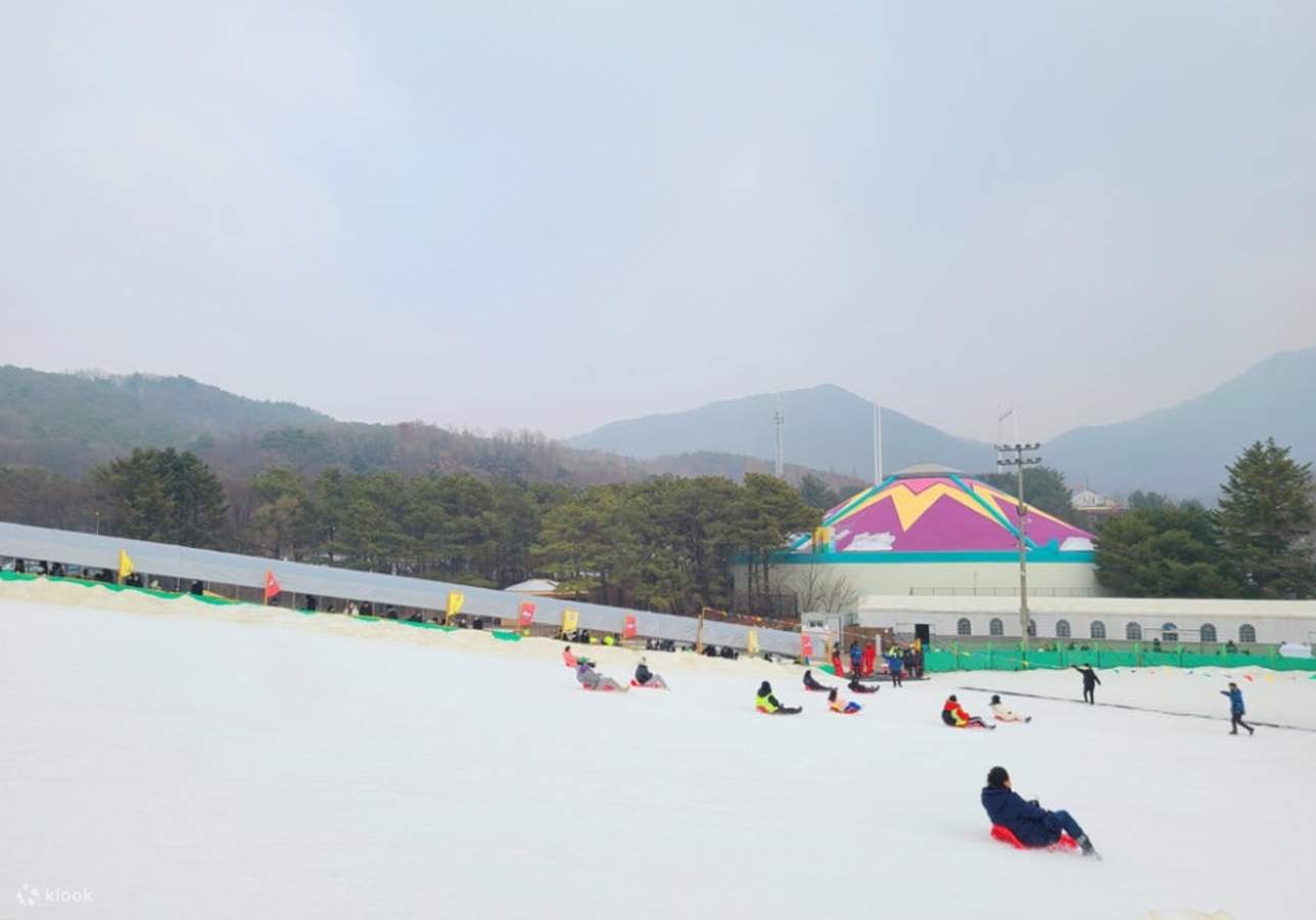 Seoul Land & Seoul Grand Park Round-Trip Shuttle + Admission Tickets ...