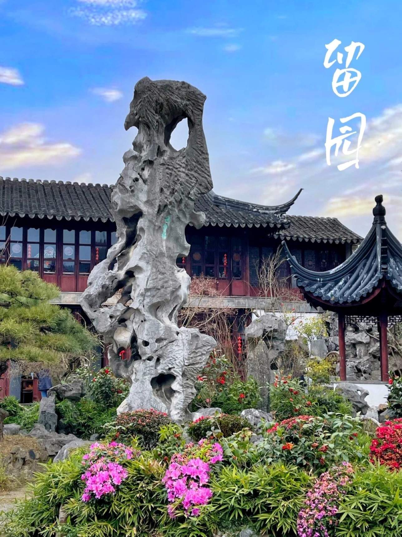 Shanghai + Nanjing + Wuxi + Suzhou + Hangzhou + Wuzhen 6 hari lawatan ...