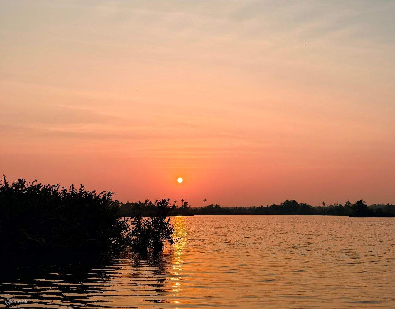 Varkala: Mangrove Kayaking and Sunset Backwater Tour - Klook Singapore