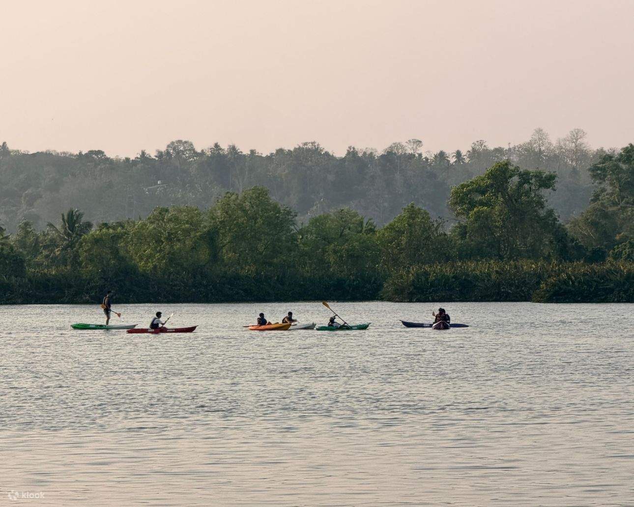 Varkala: Mangrove Kayaking and Sunset Backwater Tour - Klook Singapore