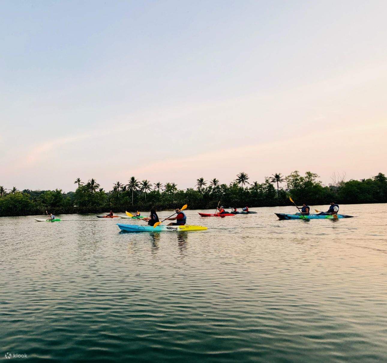 Varkala: Mangrove Kayaking and Sunset Backwater Tour - Klook Singapore