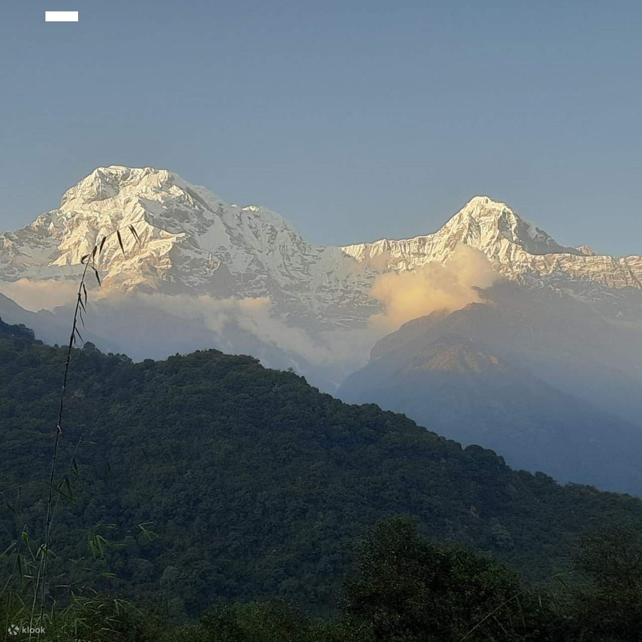 Explore the Beauty of Ghorephani and Poon Hill: 3-Day Private Trek from ...