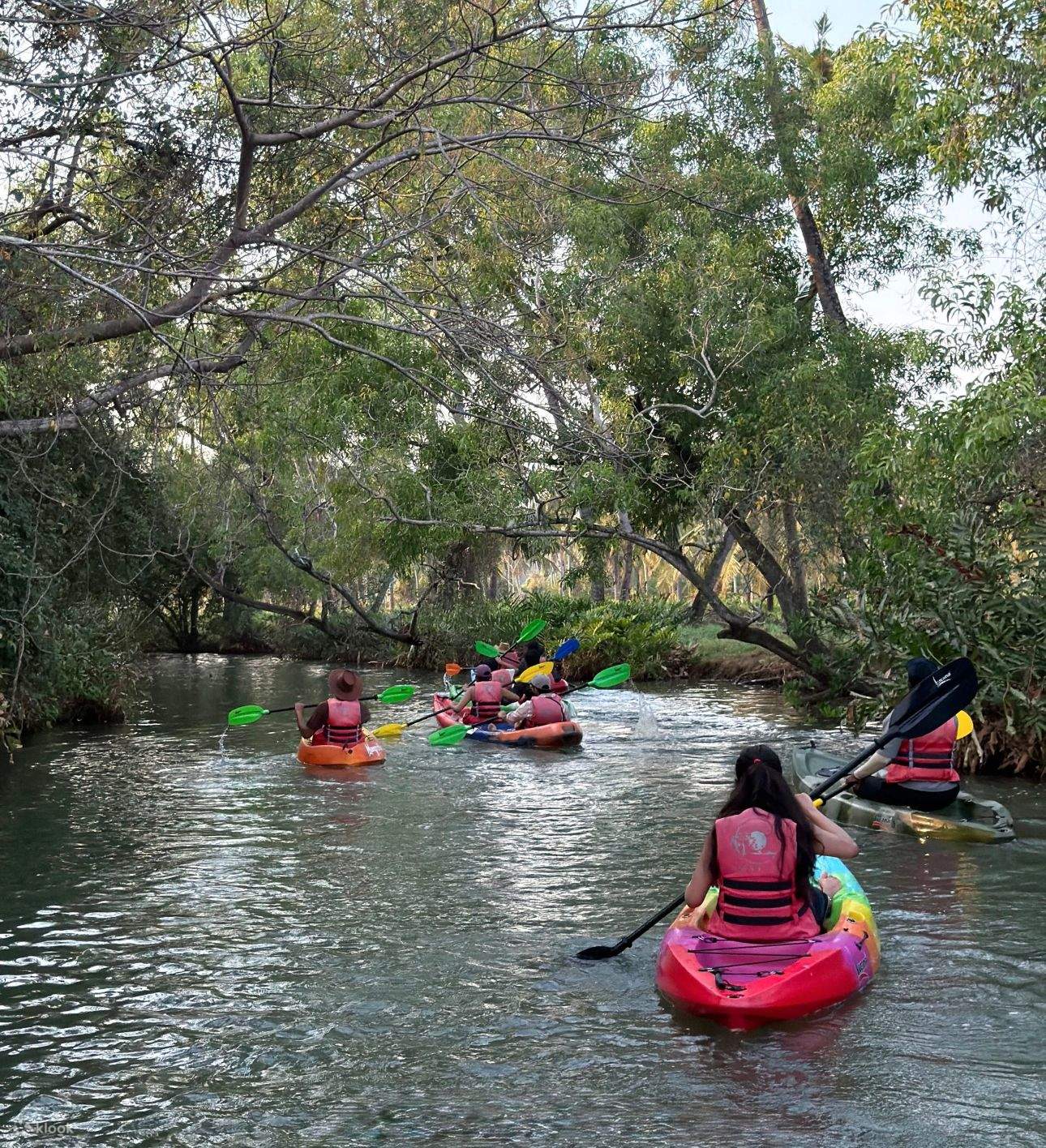 Varkala: Mangrove Kayaking and Sunset Backwater Tour - Klook Singapore