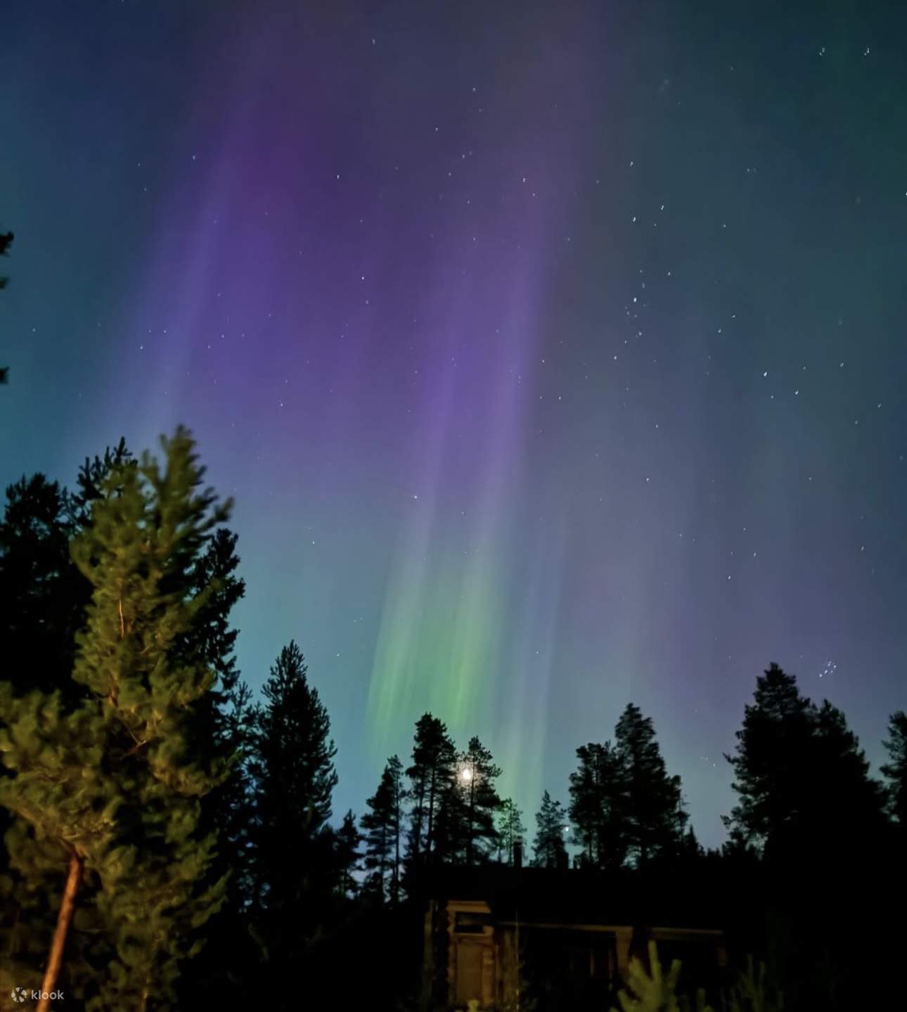 Finland Winter Adventure Tour (7 Days / 6 Nights) - Klook