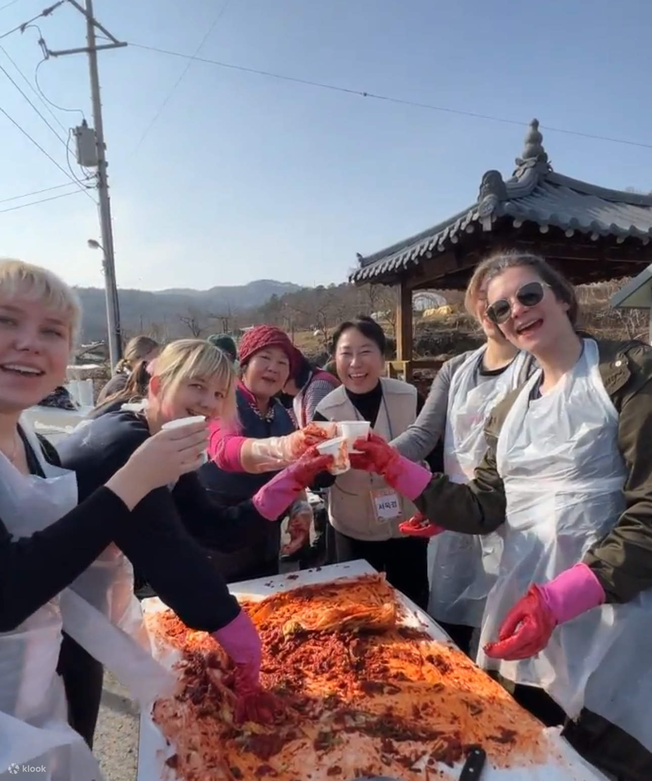 From Farm to Table Tour: Make Your Own Kimchi in Korea Rural Village ...