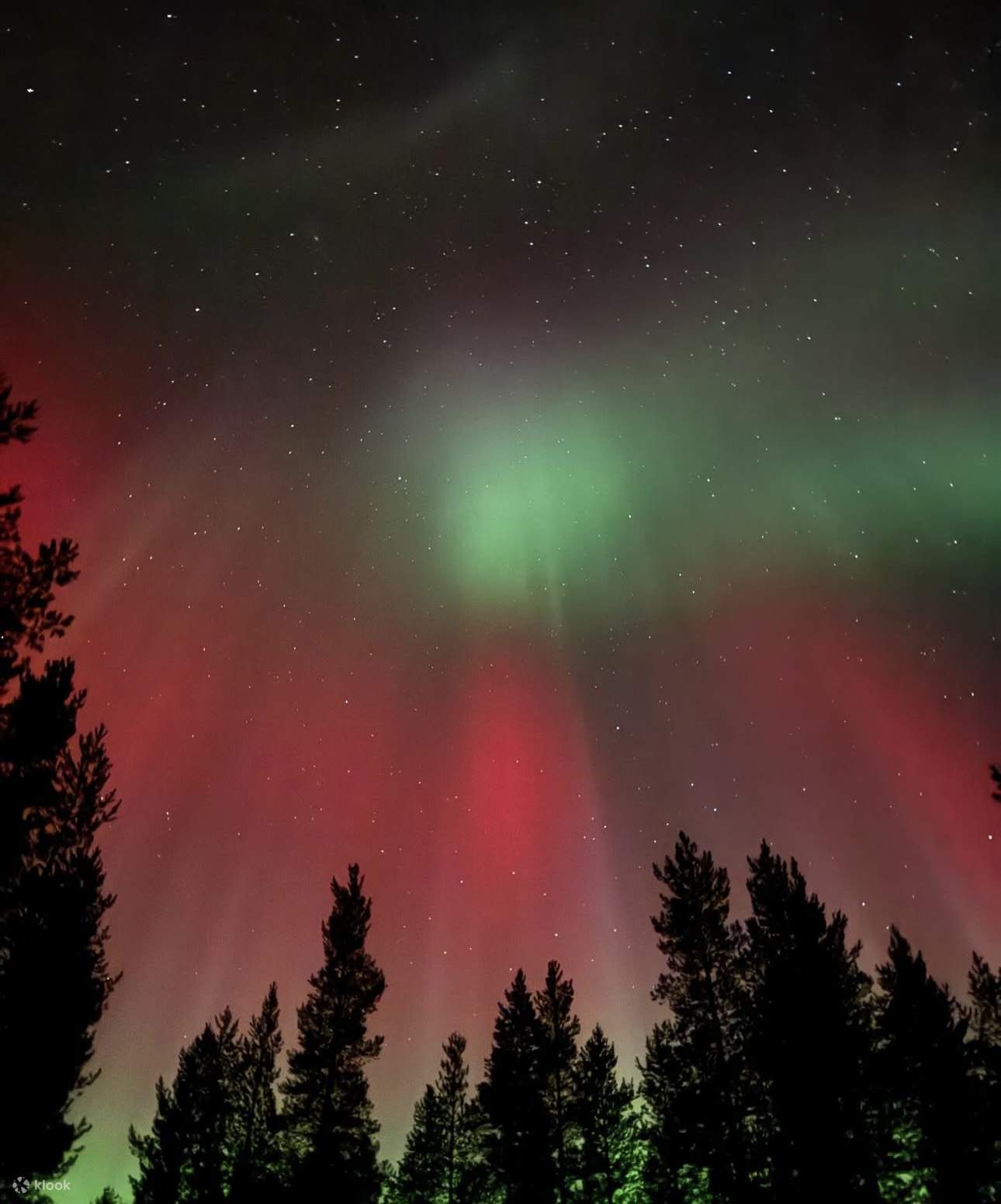 Finland Winter Adventure Tour (7 Days / 6 Nights) - Klook Australia