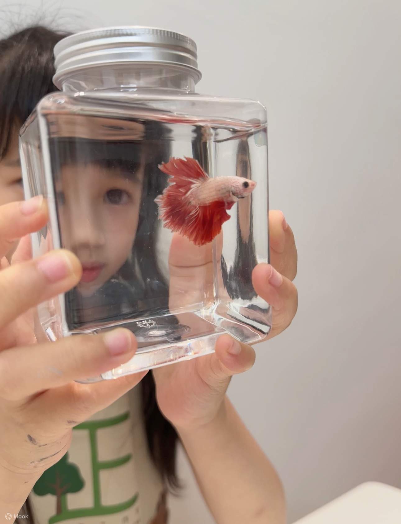 Positive Studio - 🐠Fish Farming X Art🎨여름 친자 워크샵. Douyu 🏠를 위한 집을 디자인하세요 ...