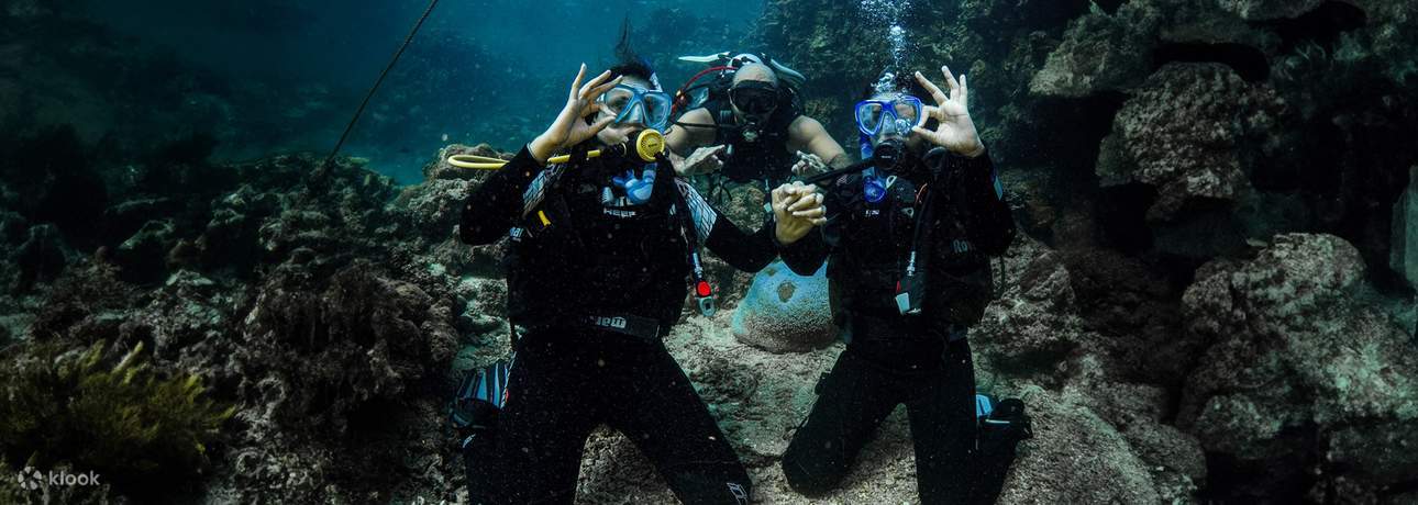 Scuba diving experience in Jeddah - Klook