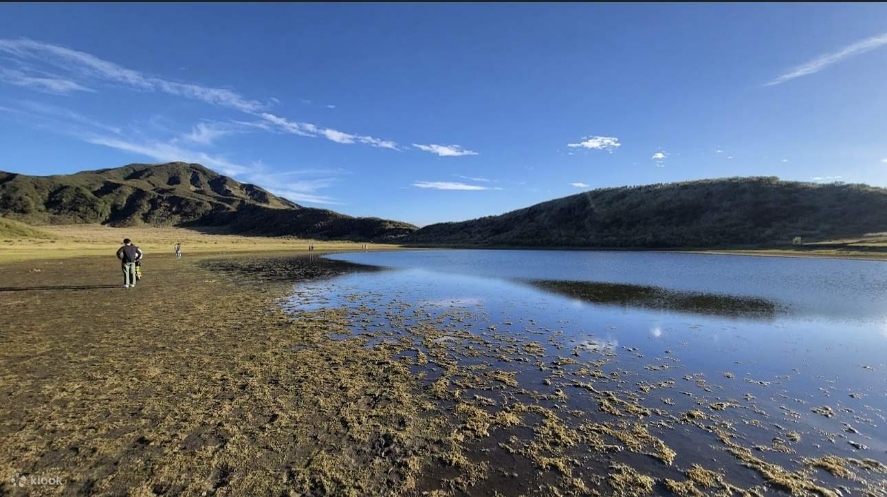 Kyushu, Ooita, and Yufuin Guided Tour with Private - Klook 客路