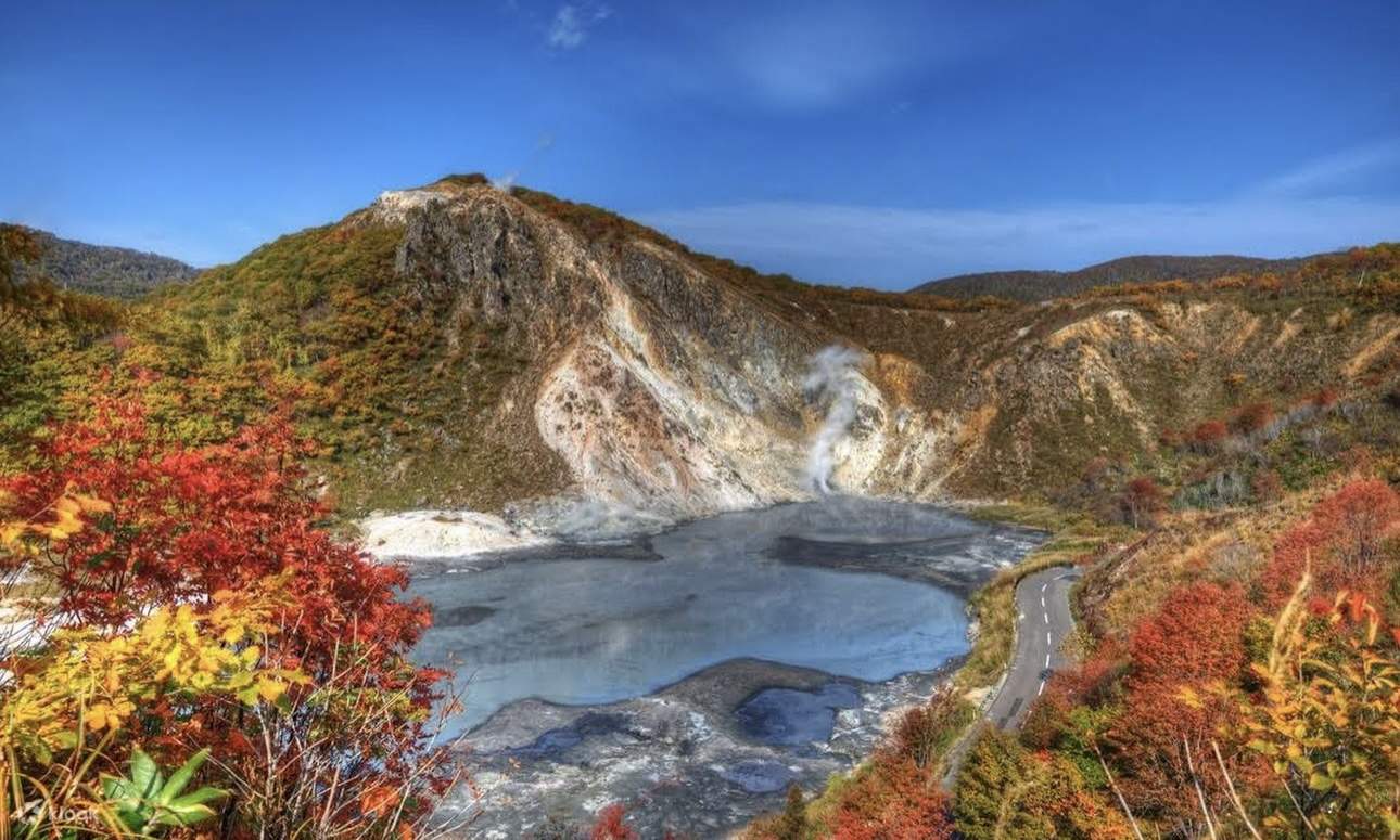 Hokkaido | Sapporo City/Furano/Lake Toya/Otaru Customized Chartered One ...