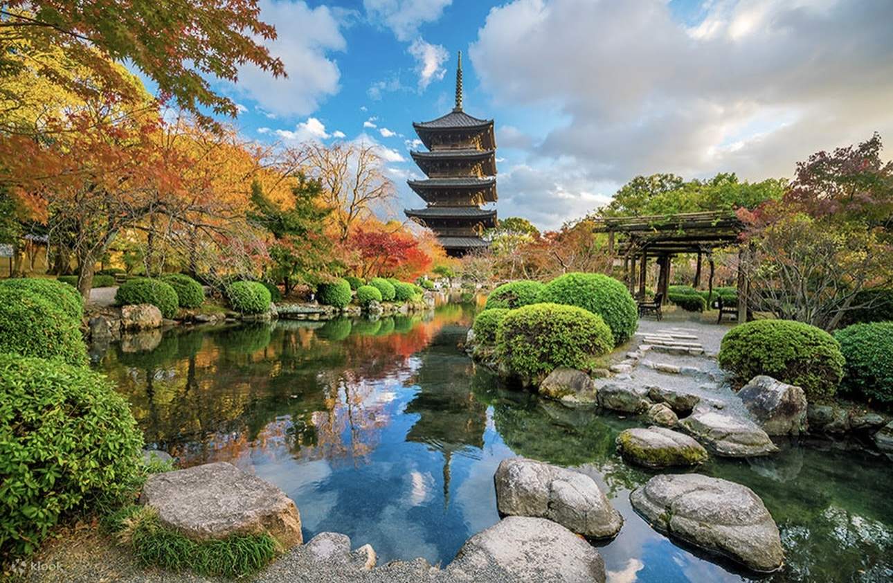 Osaka｜Kyoto/Nara/Kobe Customized Chartered Car One-day Tour - Klook