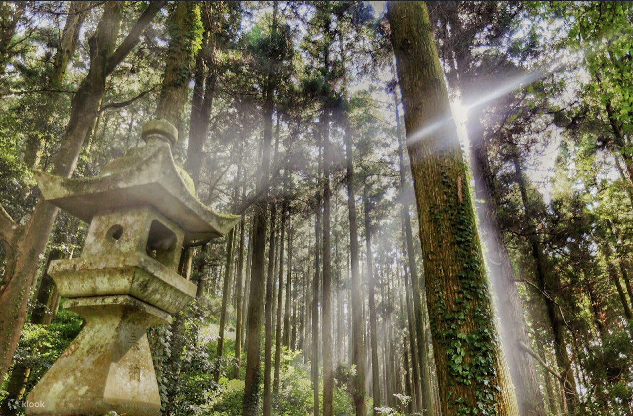 Kyushu, Ooita, and Yufuin Guided Tour with Private - Klook 客路