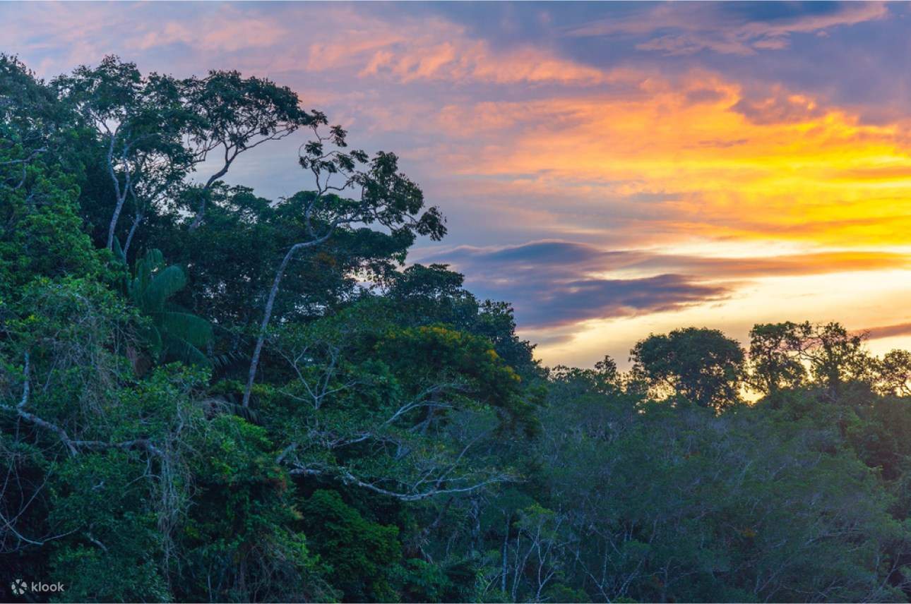 Explore the Wonders of Manu Reserve and Macaw Clay Lick in a 7-Day ...