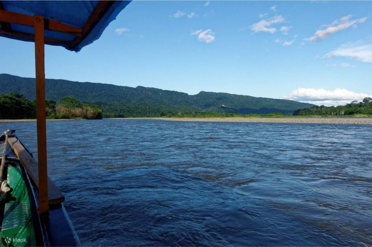 Explore the Wonders of Manu Reserved Zone: 7 Day Tour in Peru's ...