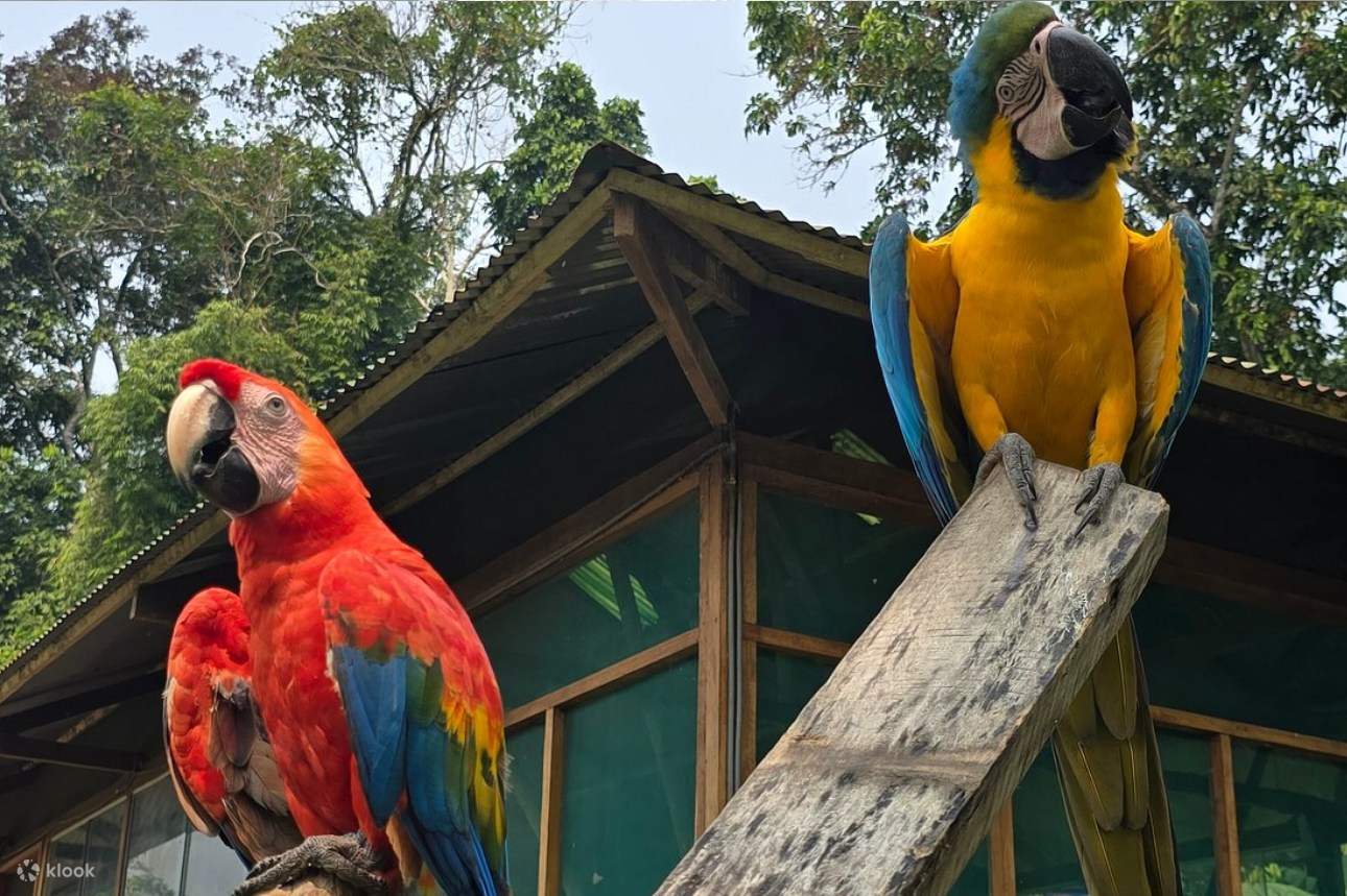 Temukan Keindahan Alam yang Liar: Petualangan 4 Hari di Taman Nasional ...
