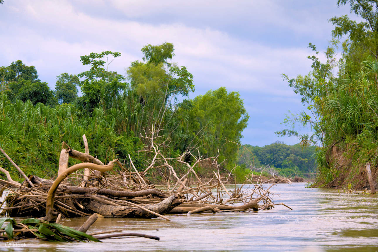 Discover the Wonders of Manu: 5-Day Amazon Rainforest Tour - Klook India