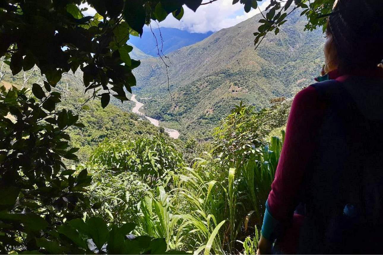 Erkunde den Inca Jungle Trail nach Machu Picchu | Abenteuer-Trekking ...