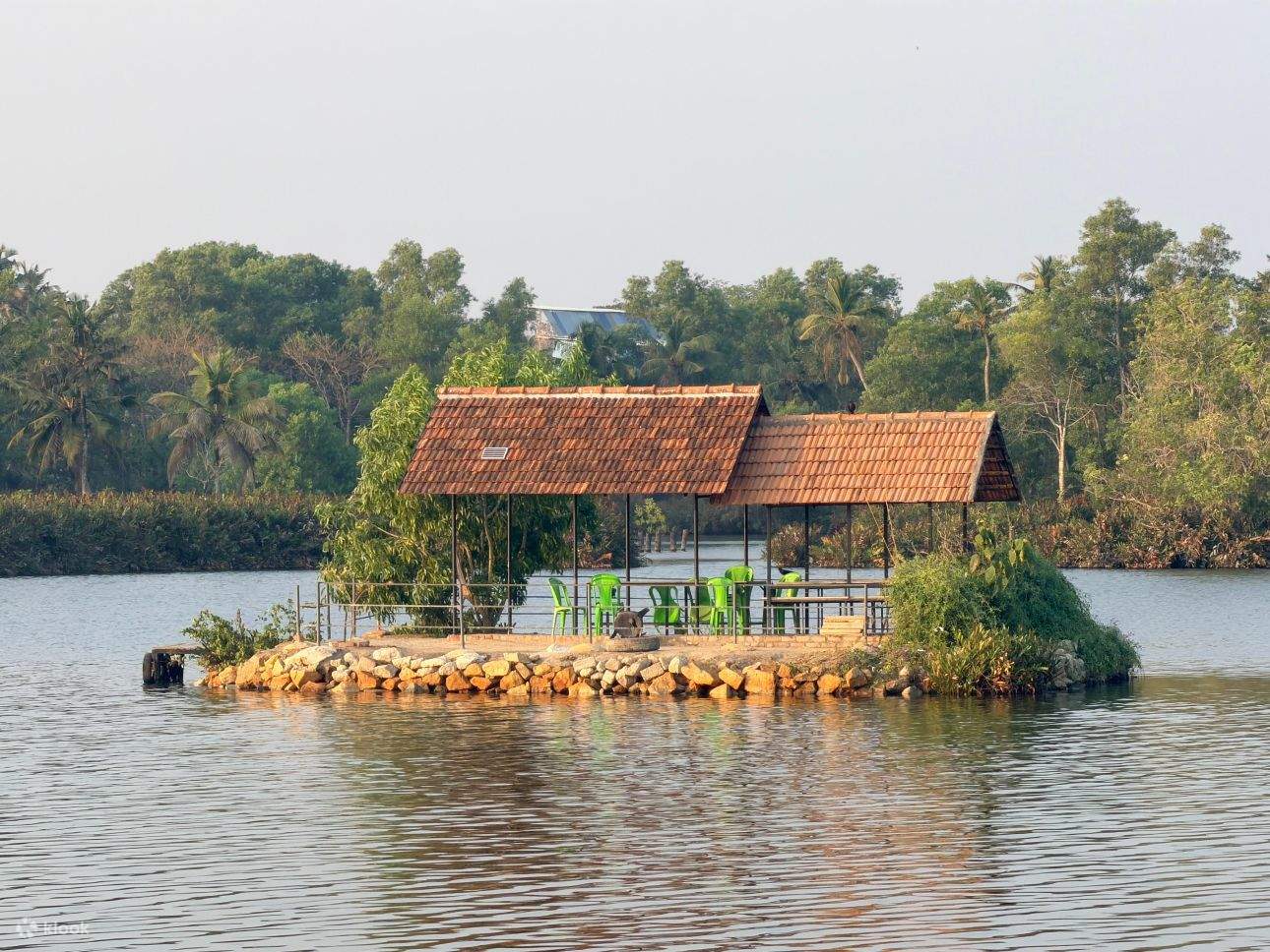 Varkala: Mangrove Kayaking and Sunset Backwater Tour - Klook Hong Kong
