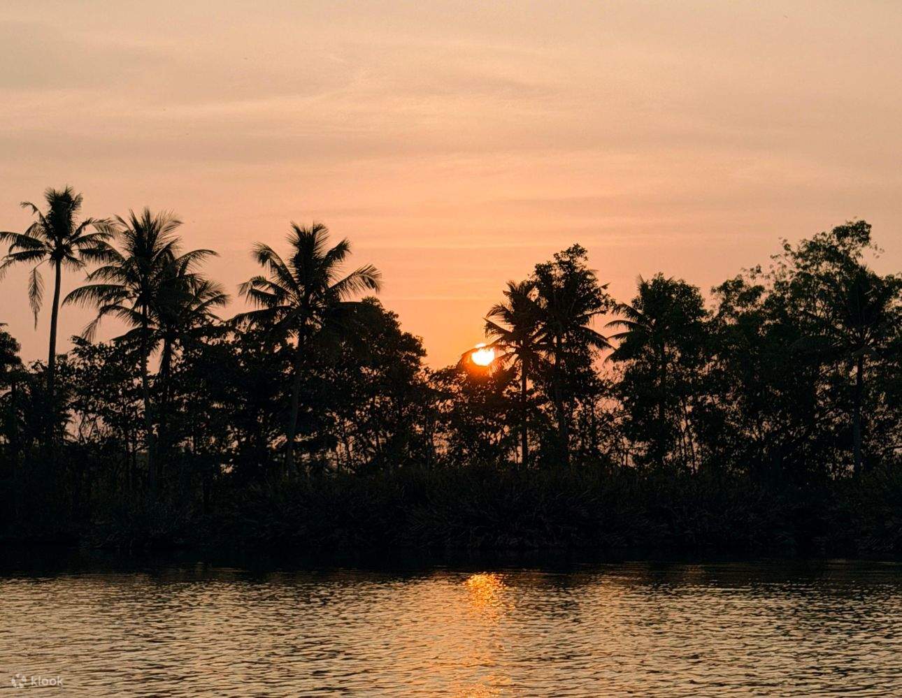 Varkala: Mangrove Kayaking and Sunset Backwater Tour - Klook Singapore