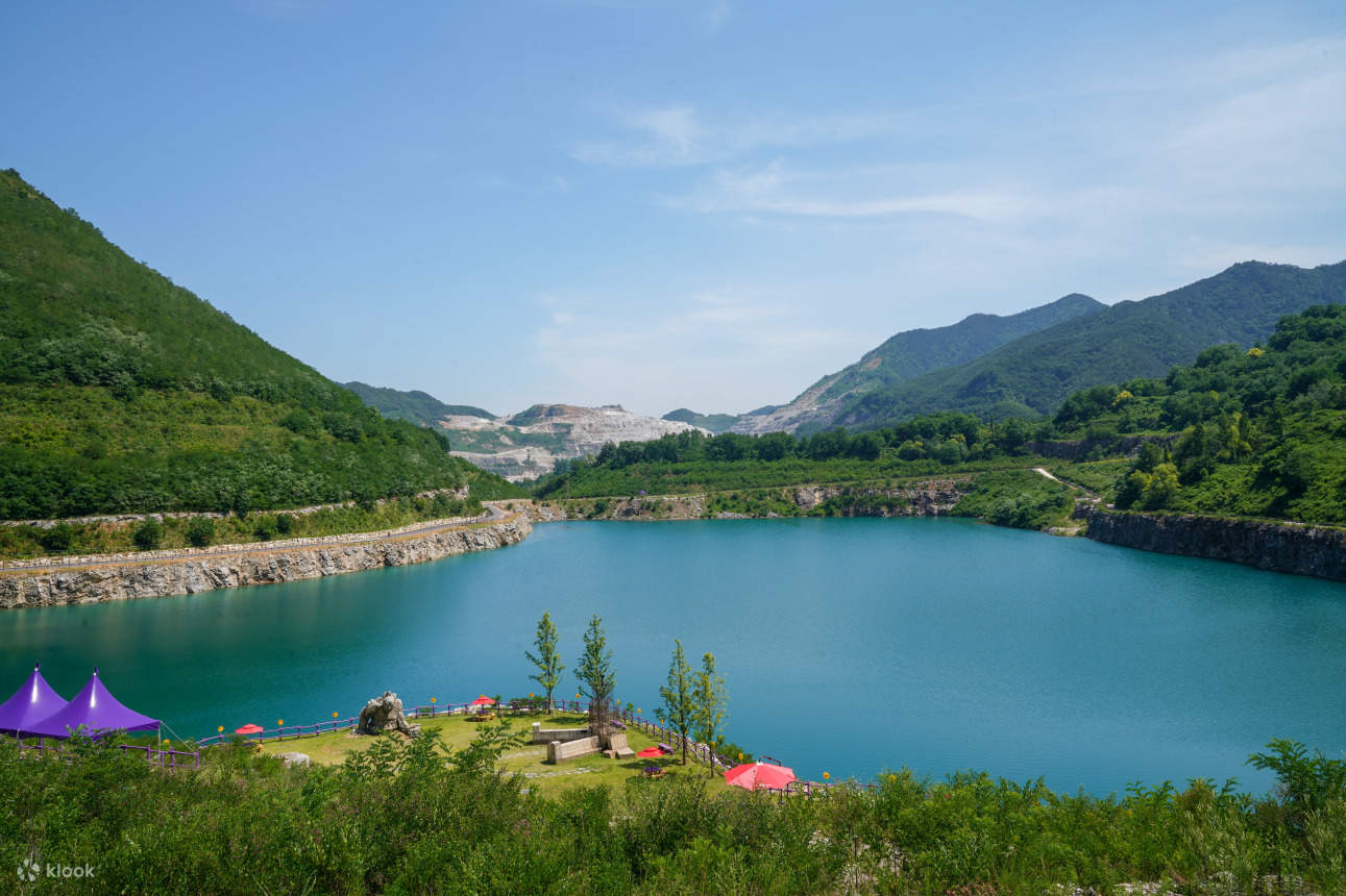 Samcheok Maengbang Canola Flower&Ocean rail bike+Donghae Day Tour - Klook