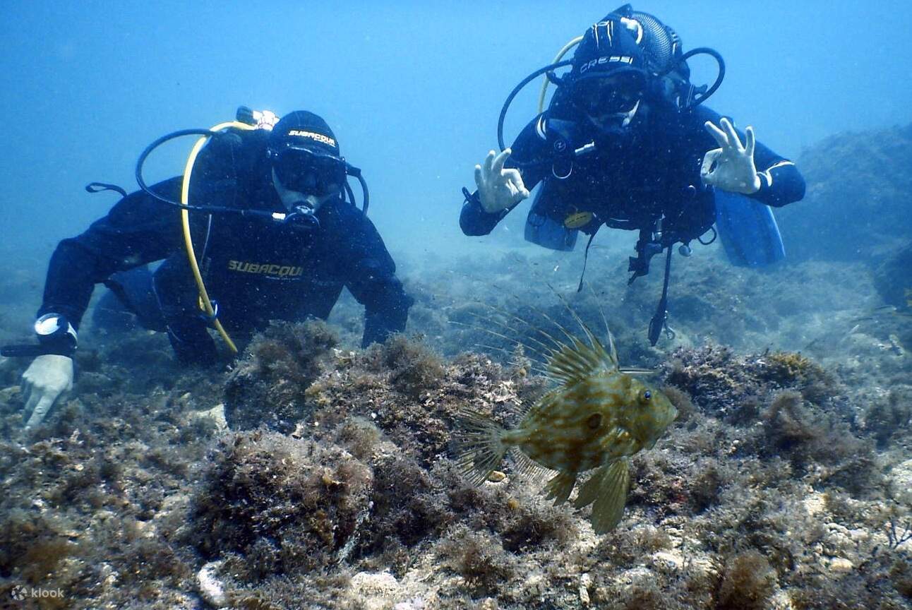 Half-Day Dive Trip in Catalonia with PADI 5 Star IDC Resort - Klook