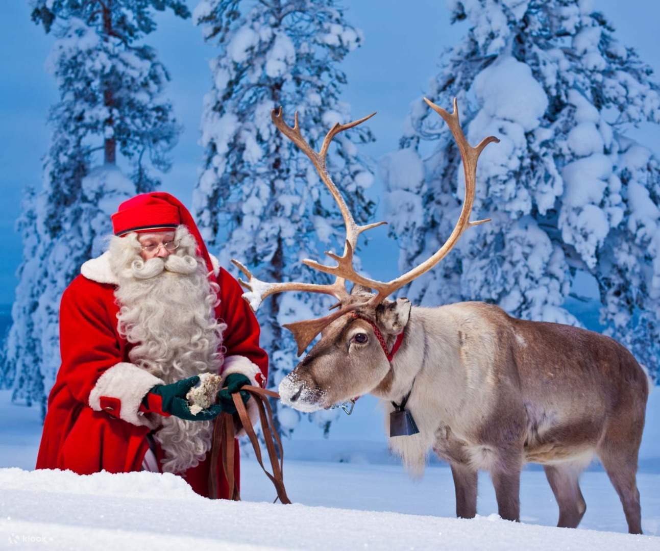 Rovaniemi Highlights Day Tour, Rovaniemi, Lapland, Finland - Klook Việt Nam