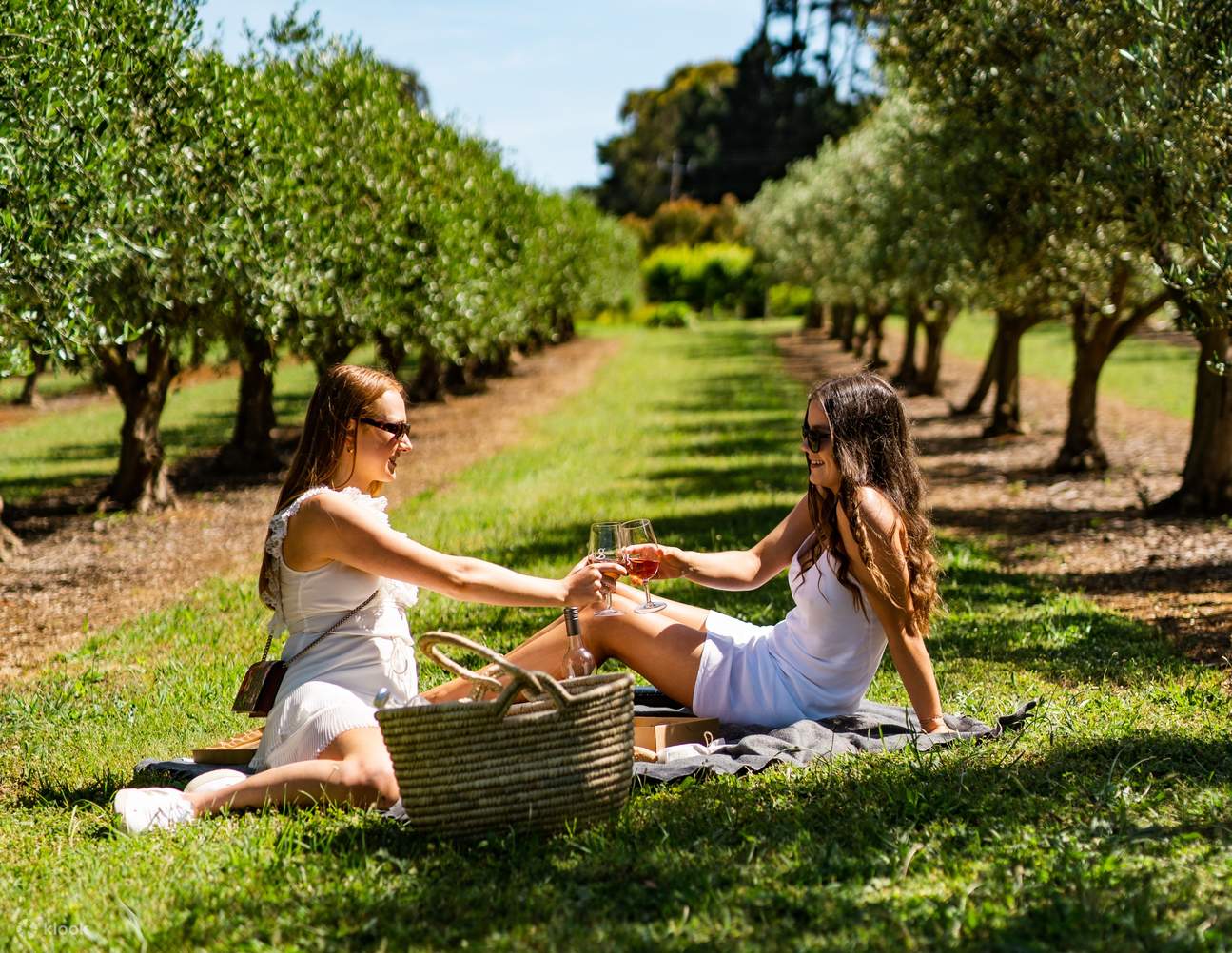 Farm Picnic for Two at Green Olive at Red Hill - 클룩 Klook 한국