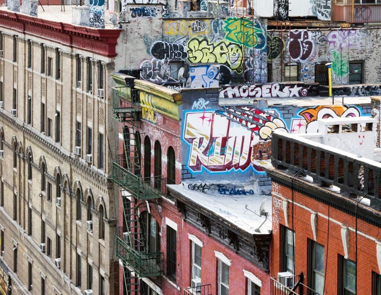 Tour Barrios de Nueva York: Brooklyn, el Bronx, Harlem, Queens - Klook ...