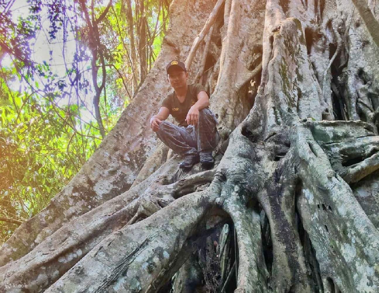 Khao Yai National Park Tour from Bangkok – Full Day - Klook Philippines