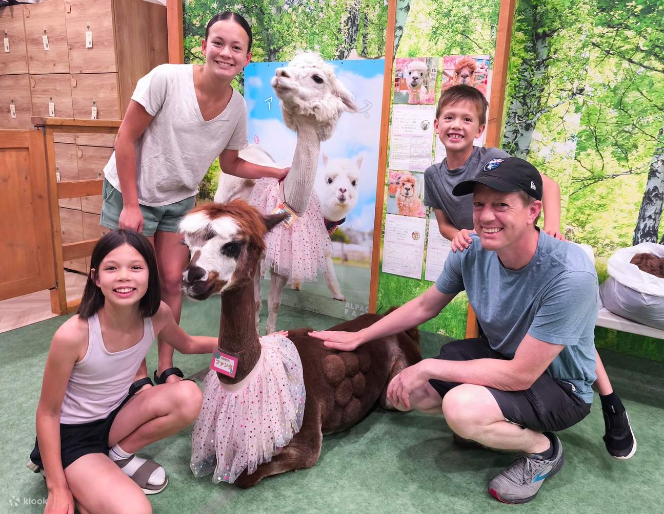 Alpaca fureai land - Klook Việt Nam