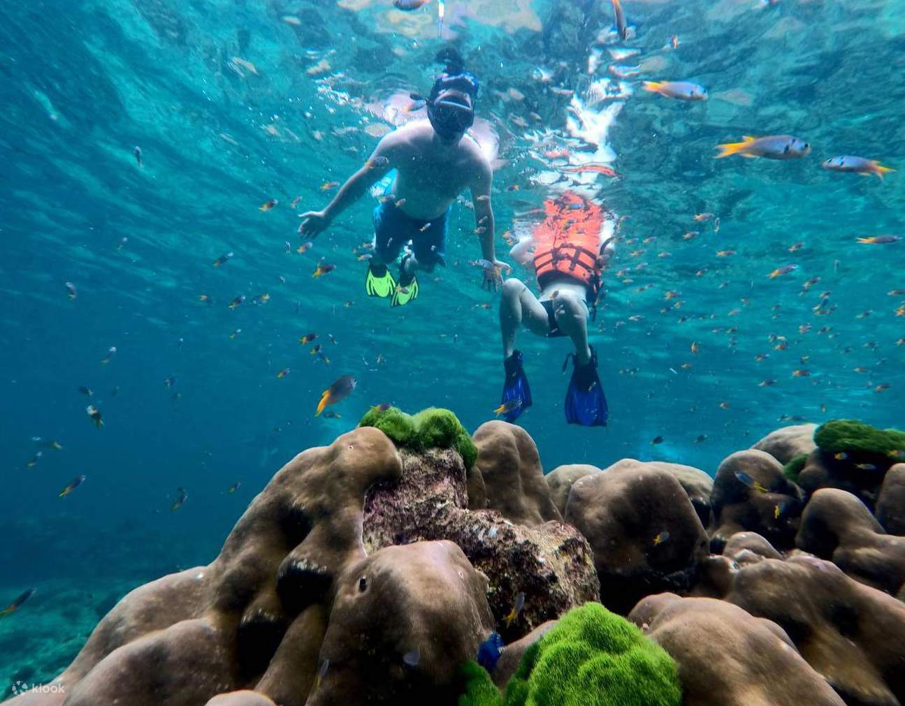 Join In 4 Island Snorkel Tour To Emerald Cave Dengan Speed Boat Dari ...