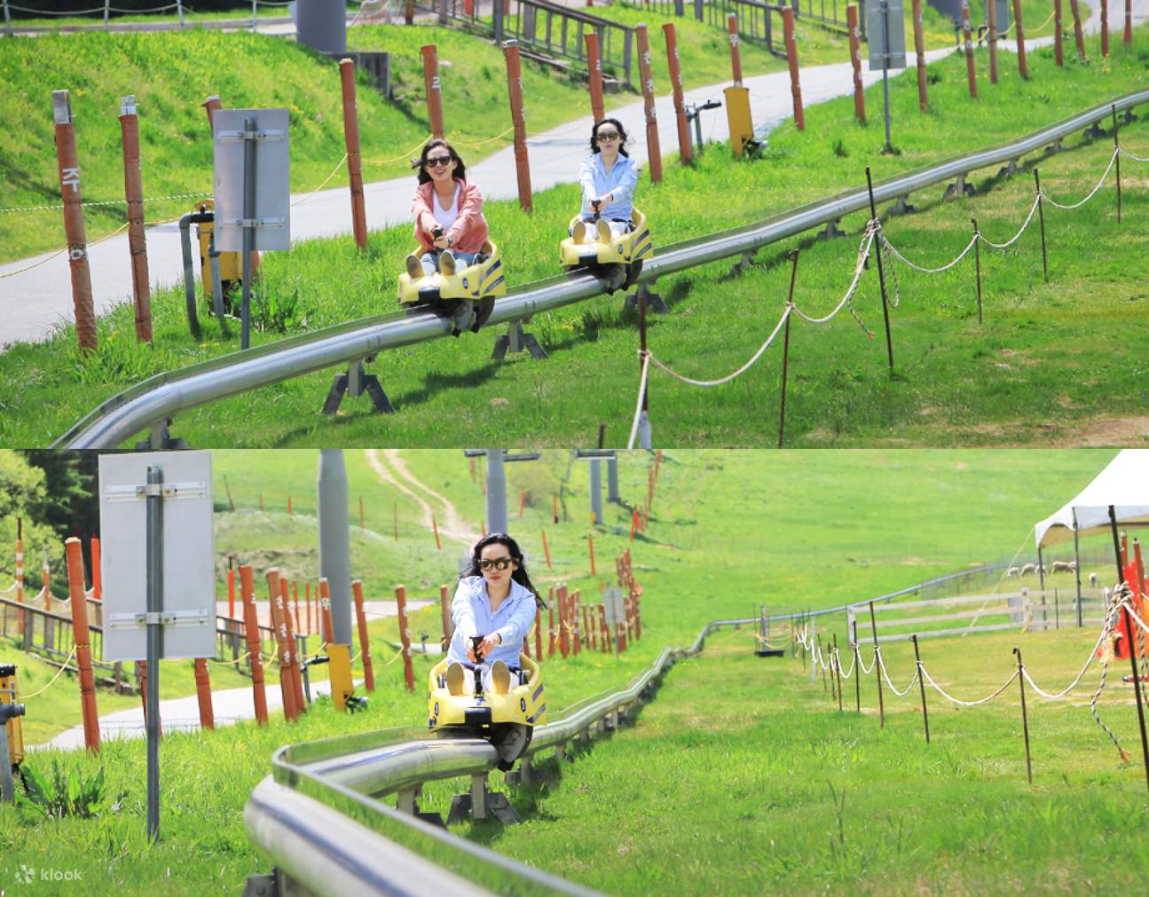 Daegwallyeong Sky Ranch/Mountain Coaster/Kereta Kabel Balwangsan - Klook Indonesia