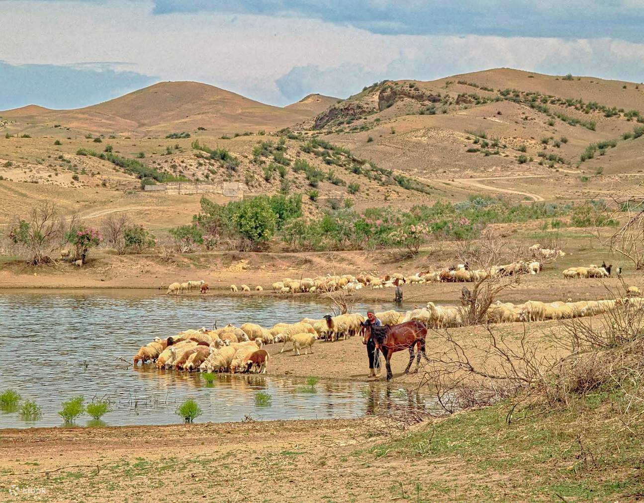 Explore David Gareji and the Real Rainbow Mountains on a Thrilling 4WD ...