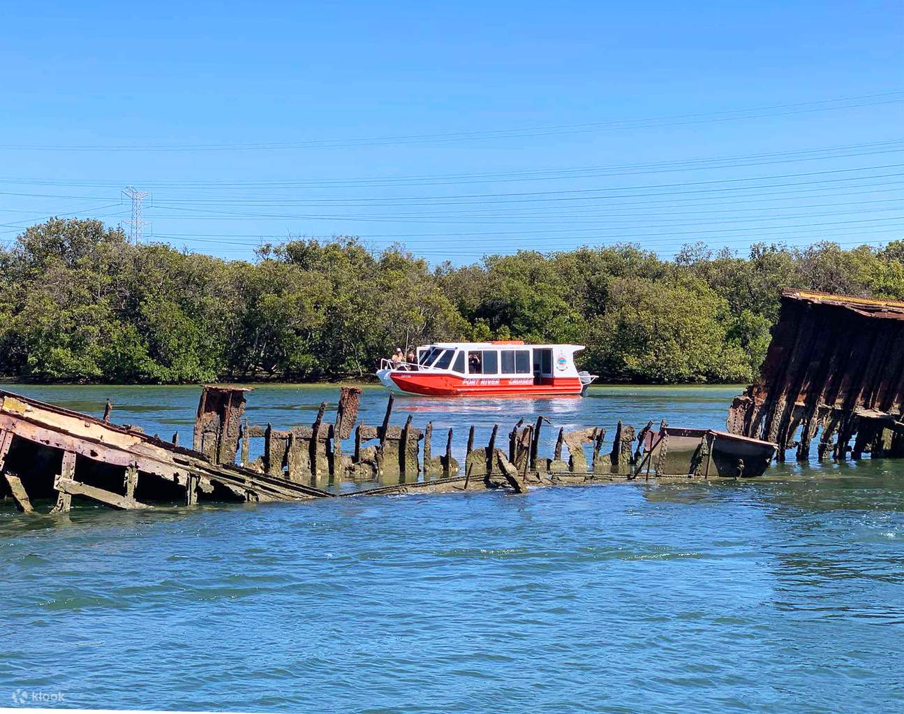 Port River Dolphin & Ships Graveyard Cruise from Port Adelaide - Klook