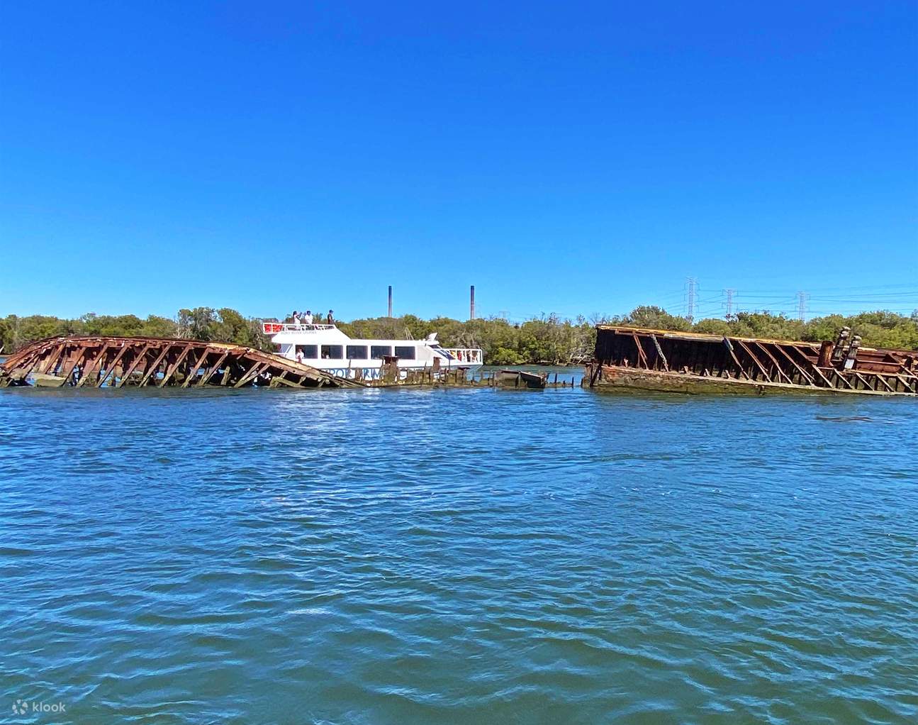 Port River Dolphin & Ships Graveyard Cruise from Port Adelaide - Klook
