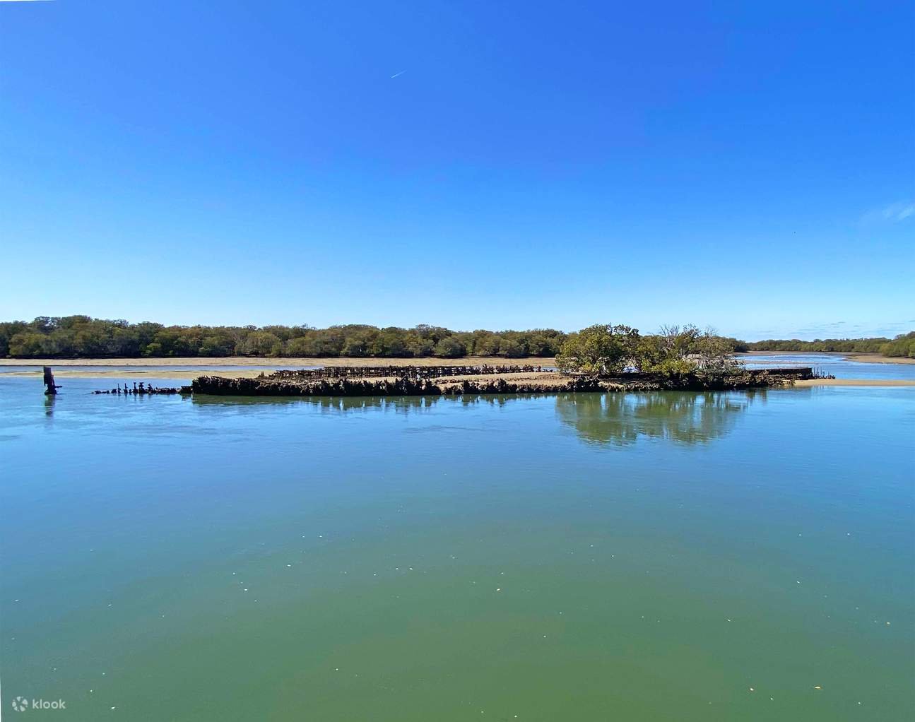 Port River Dolphin & Ships Graveyard Cruise from Port Adelaide - Klook