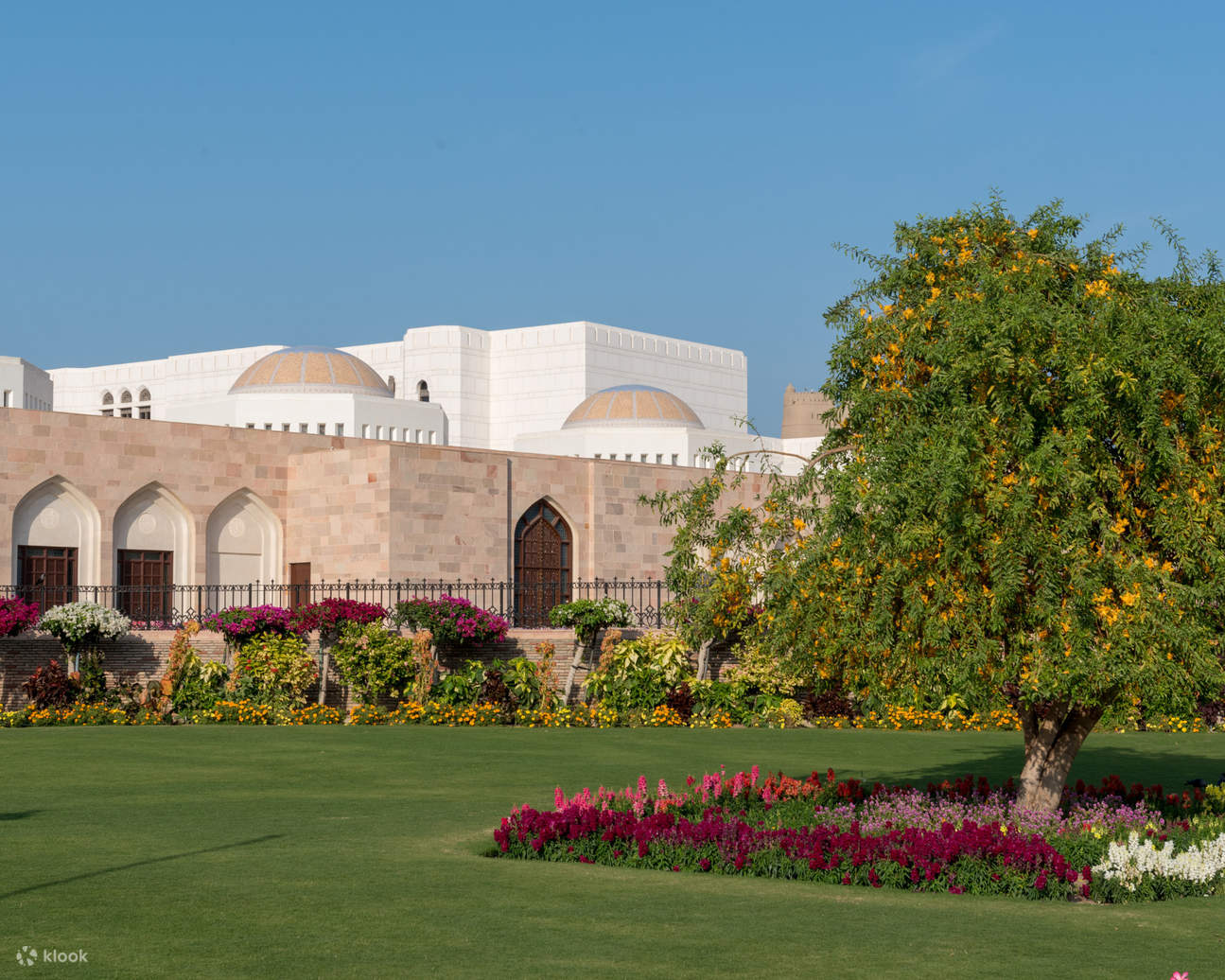 Discover the Charm of Muscat with our Private Old Muscat City Tour ...